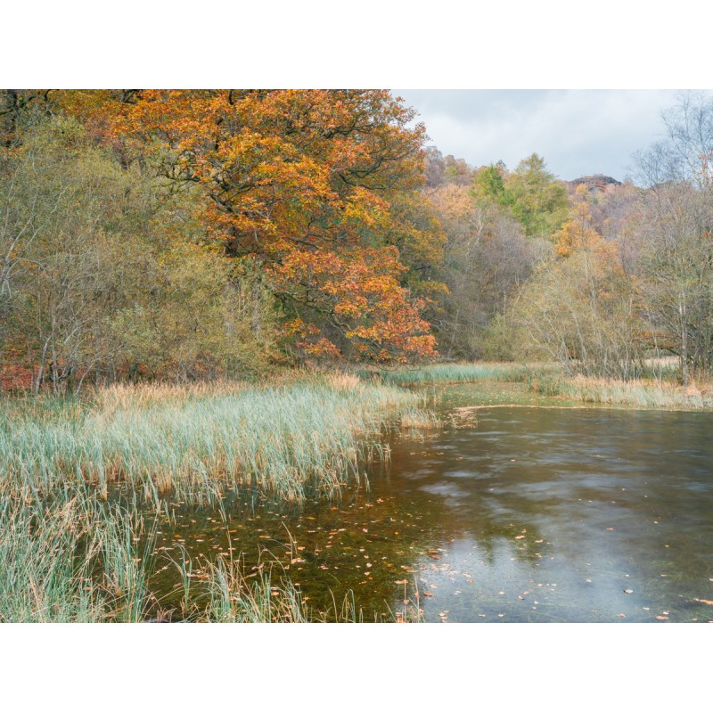 Yew Tree Tarn | Autumn Colour near Coniston in the Lake District