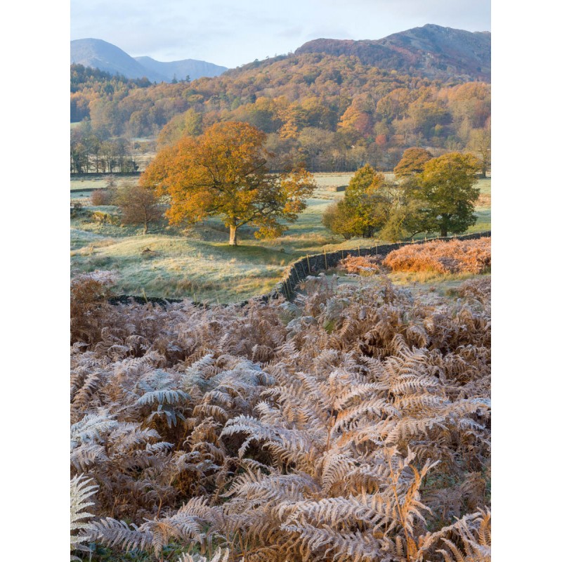 Elterwater Common, Lake District | Framed Portrait Print | James Bell