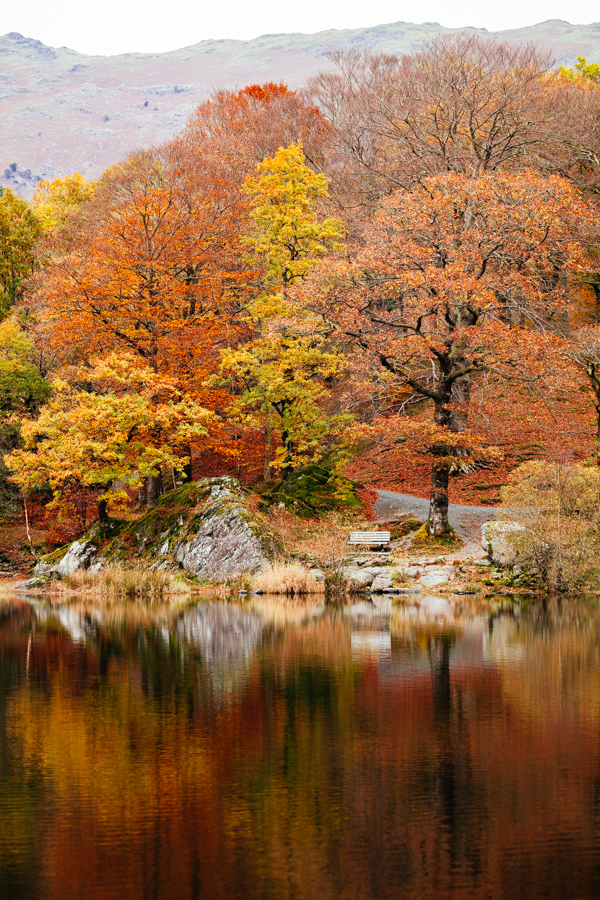 Autumnal Lake District Landscape Photography of Grasmere. – Landscape ...