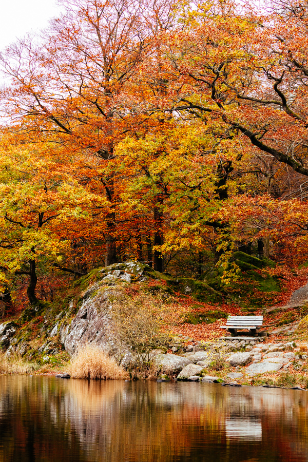 Autumnal Lake District Landscape Photography of Grasmere.