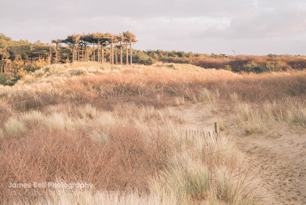 Formby Sand Dunes Photography II | Landscape Photography Blog