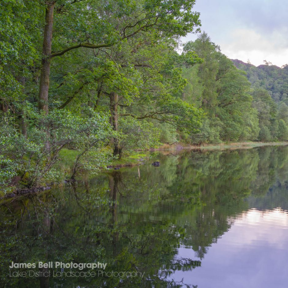 Yew Tree Tarn Summer Evening Landscape Photography Shoot | Landscape ...