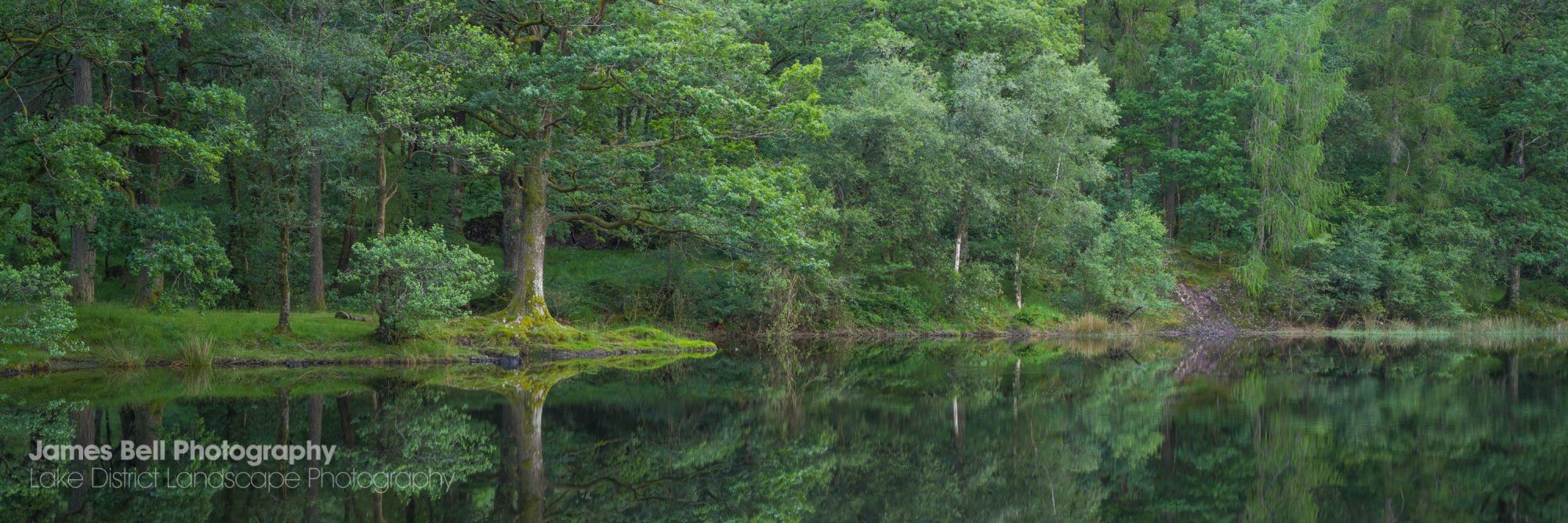 Yew Tree Tarn Summer Evening Landscape Photography Shoot | Landscape ...