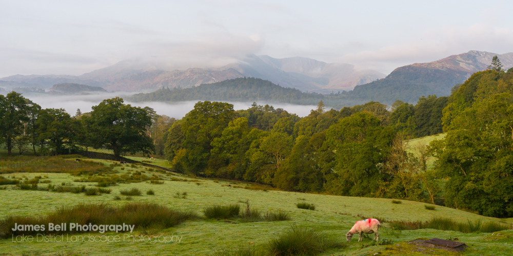 Grasmere Misty Morning Shoot Landscape Photography in the Lake District